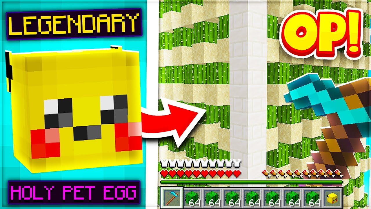 LEGENDARY PET MULTIPLIES FARM on NEW Minecraft Skyblock Server ...