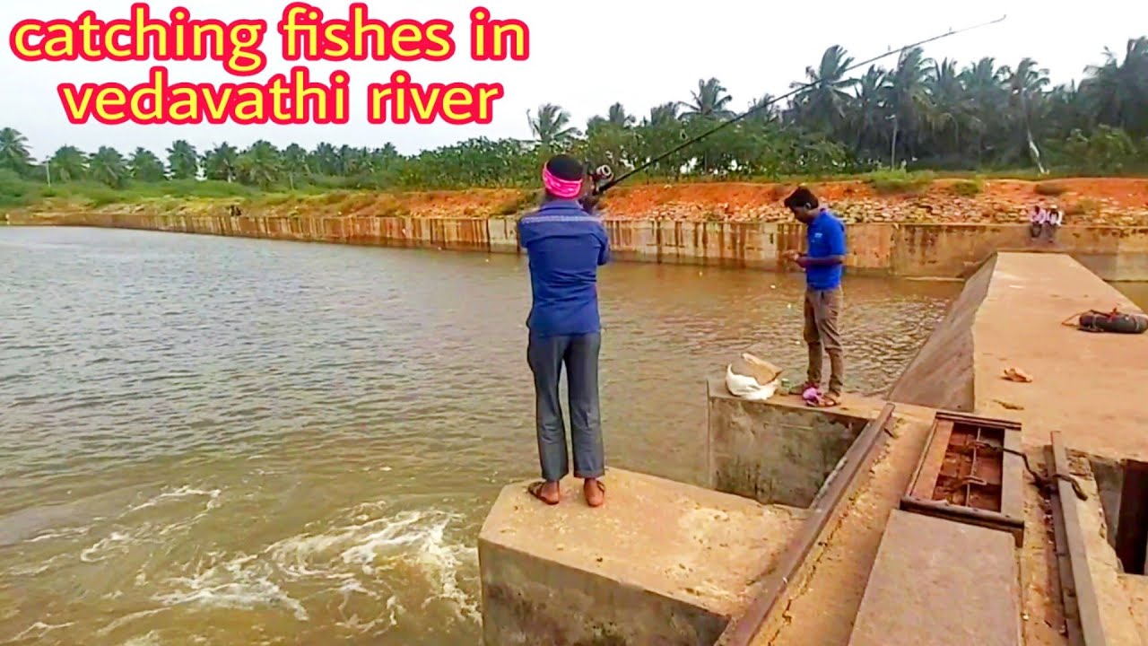 Vedavathi dam || vedavathi dam || catching fishes || #dam #vedavathi # ...