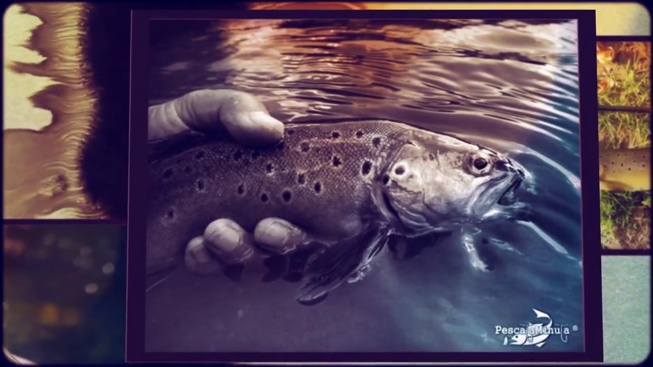 PROMO: Fly fishing scenes © PescataMinuta 2012 - YouTube