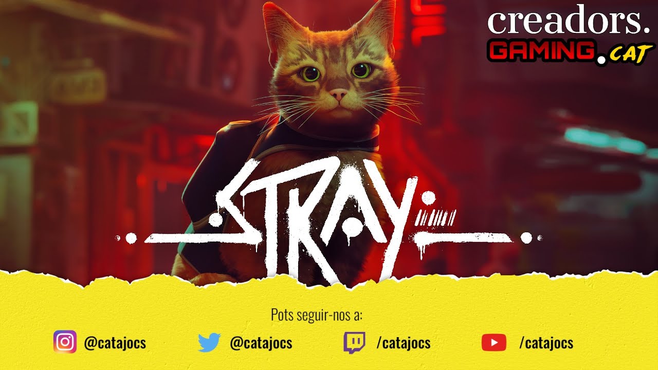 Stray | #2 - YouTube