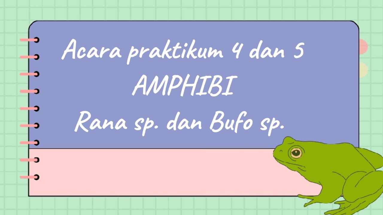 Praktikum SISTEMATIKA VERTEBRATA (AMPHIBI) - YouTube