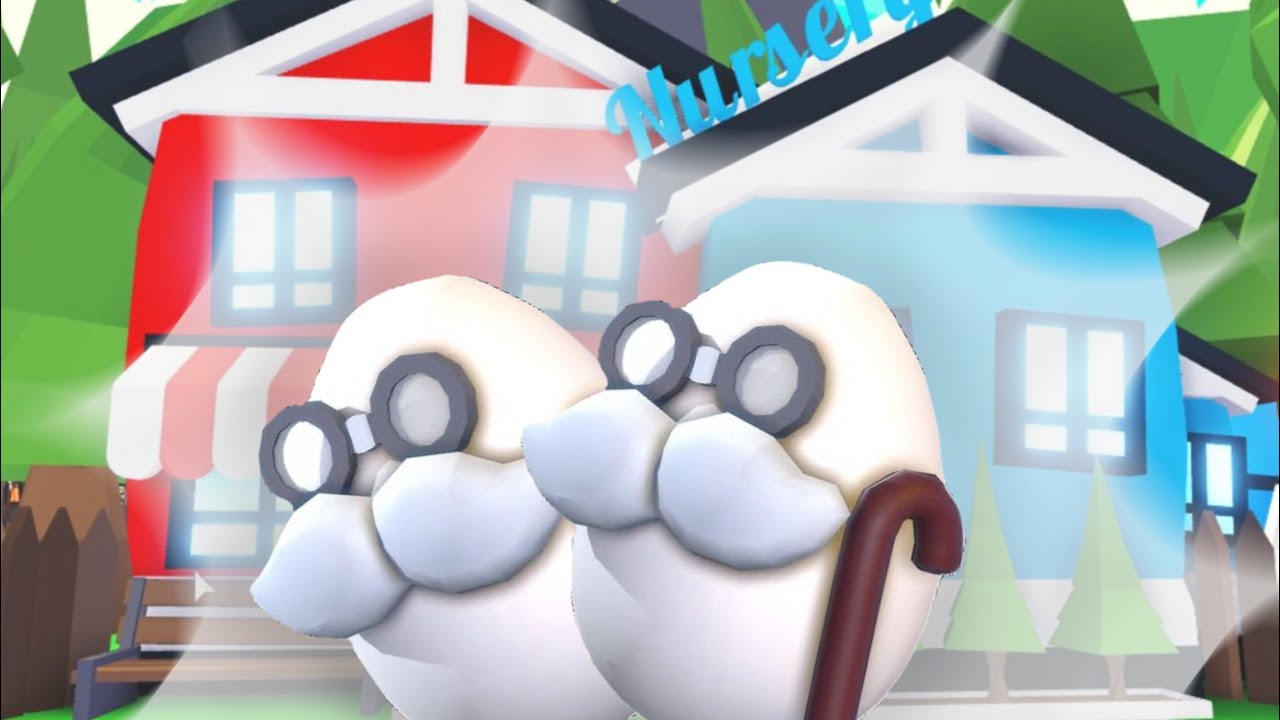Hatching two retired eggs! (First vid) - YouTube