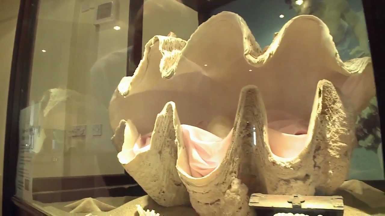 Isle of Wight Pearl - Isle of Wight - YouTube