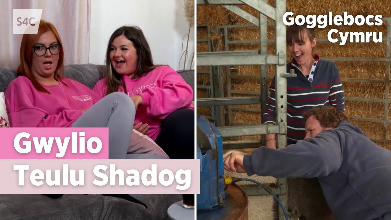 Criw Gogglebocs Cymru yn gwylio Teulu Shadog | S4C - YouTube