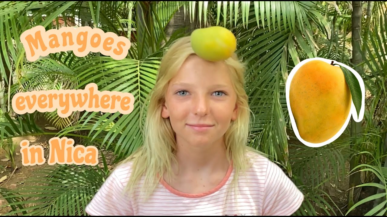 EXPLORING TROPICAL INSANELY GIANT WILD MANGO TREES IN NICARAGUA! - YouTube