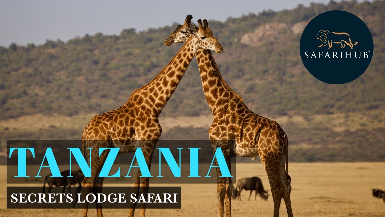 Tanzania Secrets Lodge Safari Package | Safarihub - YouTube