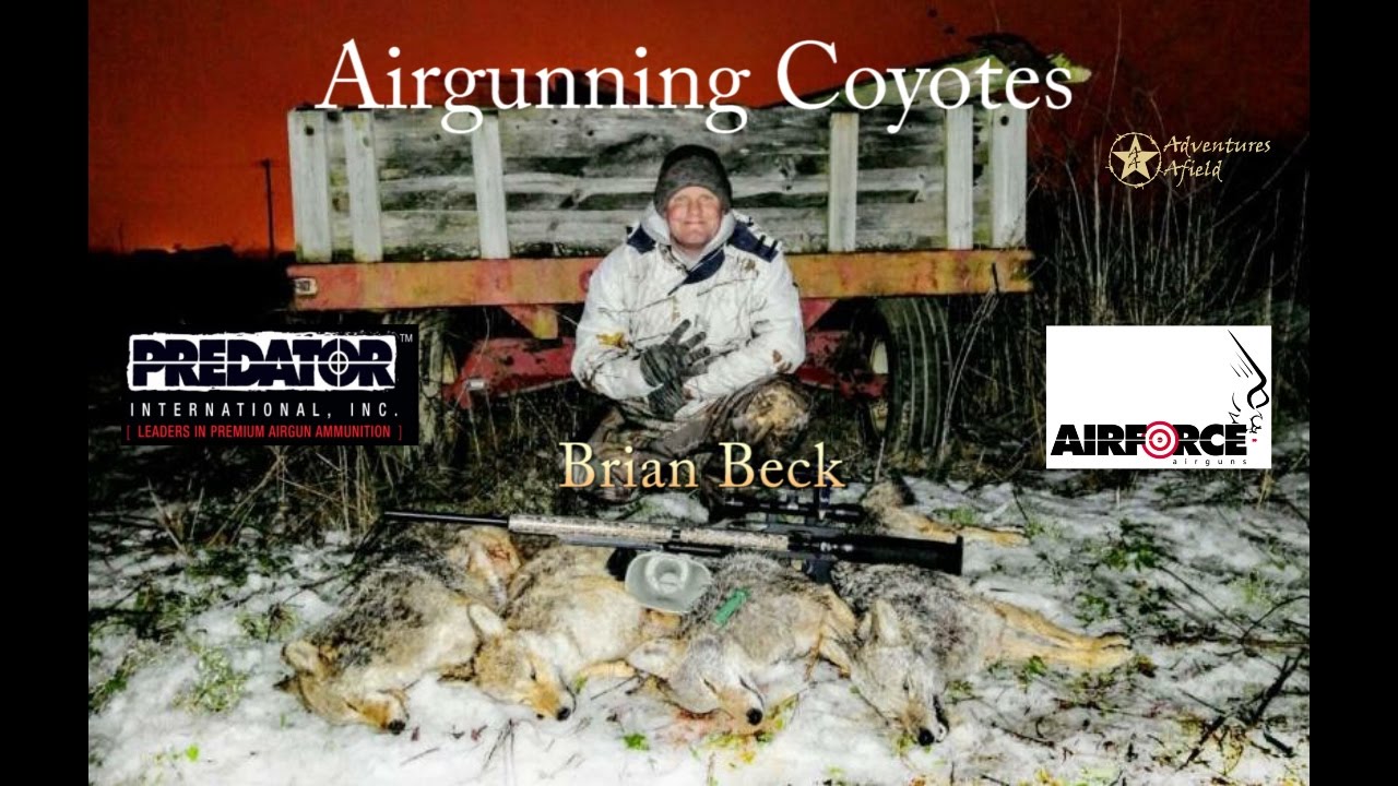 Adventures Afield: Airguning predators with an Airforce Airgun - YouTube