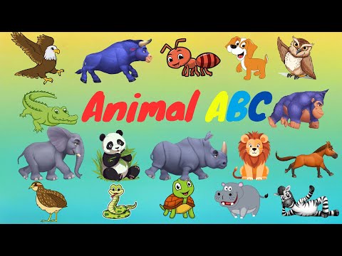 ABC Song for kids | B is for Bear! Fun ABC Animals for Children - YouTube