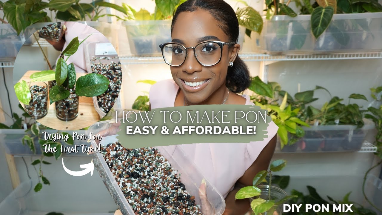 How To Make Pon For Your Plants | DIY Pon | Repotting Plants In Pon | Trying Pon For The First ...