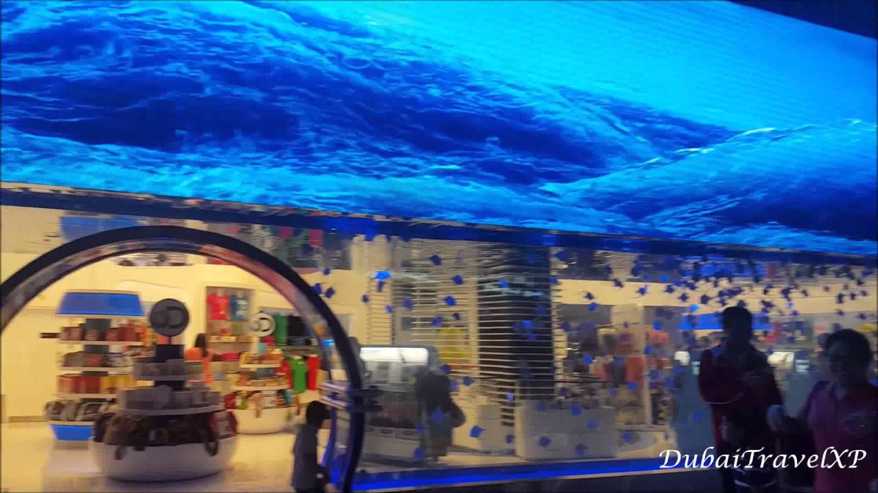 Discovery Store In Dubai Mall Dubai MUST WATCH VIDEO I Dubai Travel discovery-store-in-dubai-mall-dubai-must-watch-video-i-dubai-travel