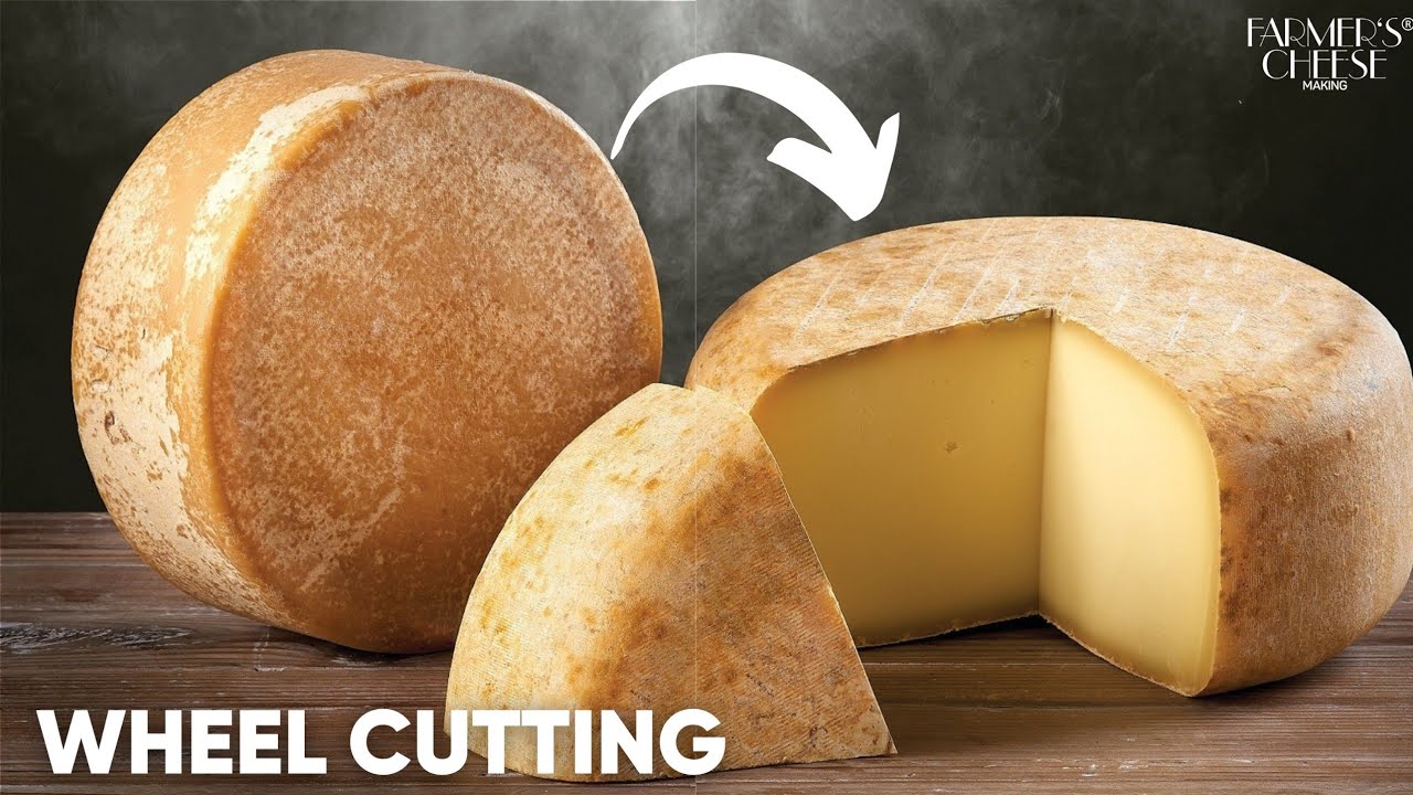 Big Wheel of Mature Cheese Cutting Process Looks Satisfying | FCM👑 ...