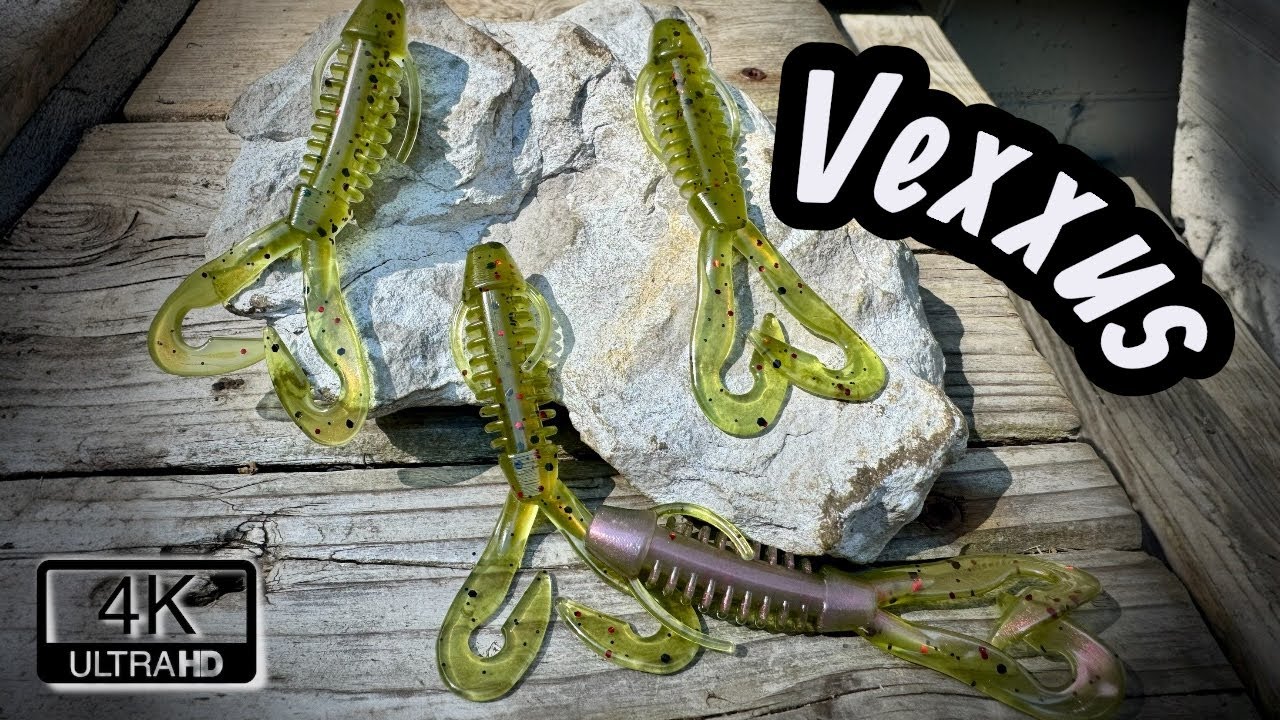 NEW Angling Ai Mold – The Vexxus | 3.4” of Pure Striking Power - YouTube