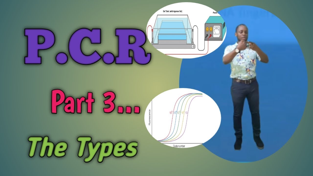 P.C.R Part 3 | Types of P.C.R Technique | SWAHILI | SBK - YouTube