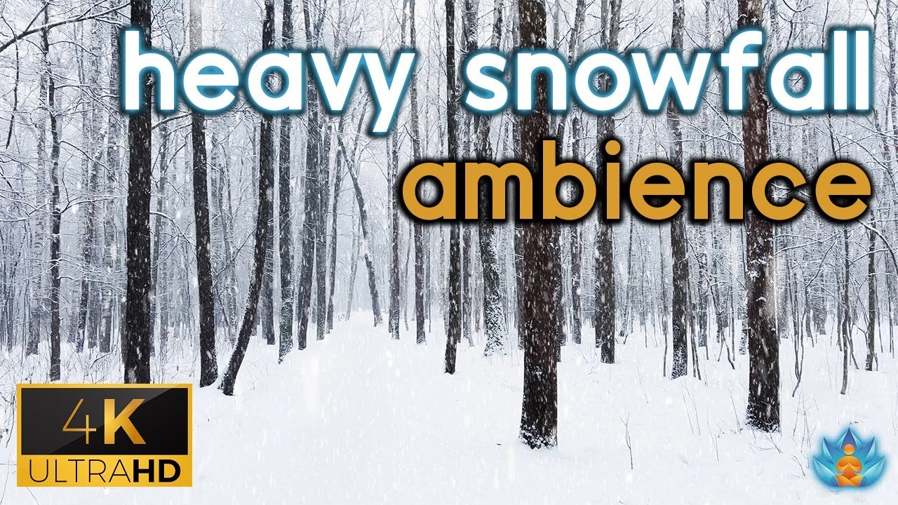 Winter Forest Snowfall Sounds: Heavy Snow Ambience: Snowfall Sounds for ...