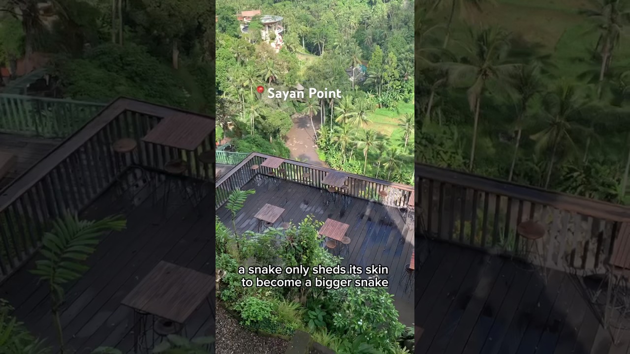 Sayan point, Ubud #travel #bule #ubud #cafe #sunsetview #bali - YouTube