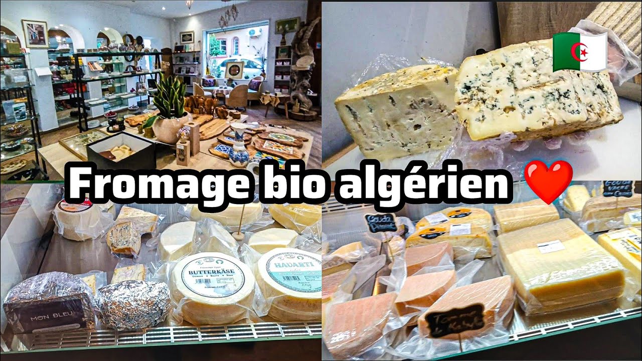 Plongée dans l’univers des fromages bio algériens un voyage au cœur du ...