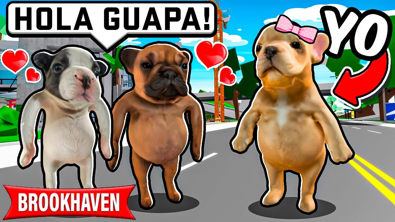 SOLO LOS PIBBLES PUEDEN ENTRAR a ESTE SERVIDOR en BROOKHAVEN! - ROBLOX ...