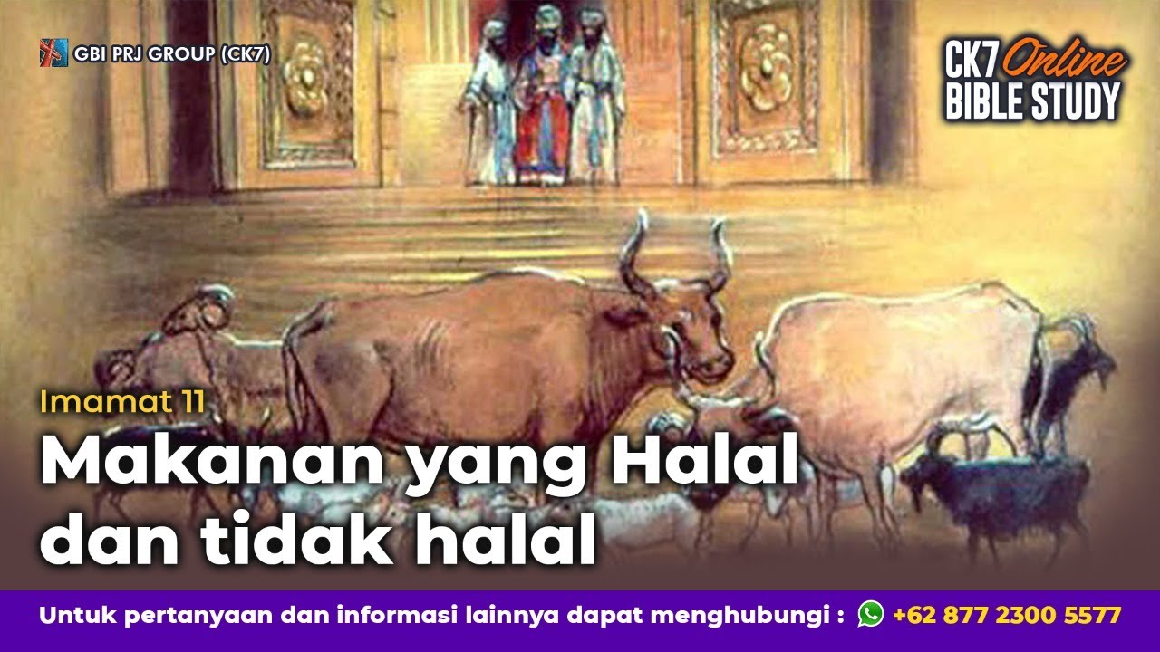 Bible Study Imamat 11 - YouTube