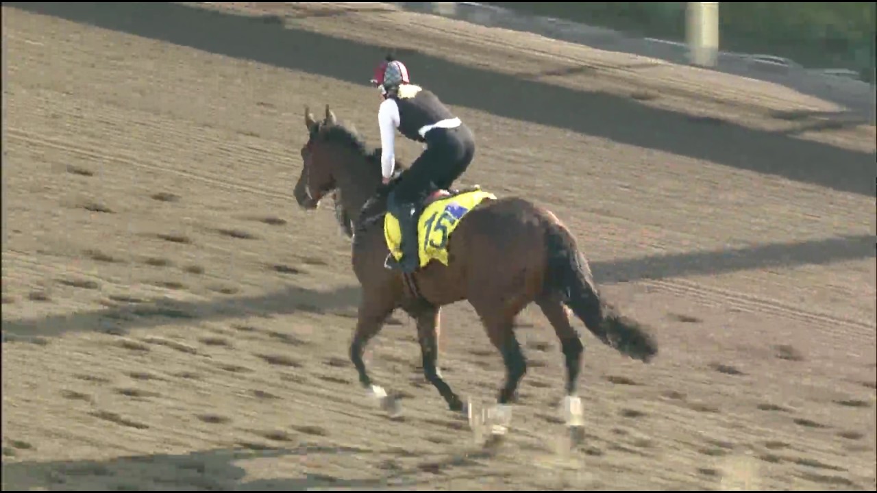 [HKIR 2016] Trackside Interviews - Gary Moore, Trainer of Takedown ...