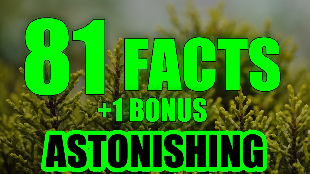 81 Interesting Facts | Random Facts You Never Knew- (+1 Bonus Fatc ...