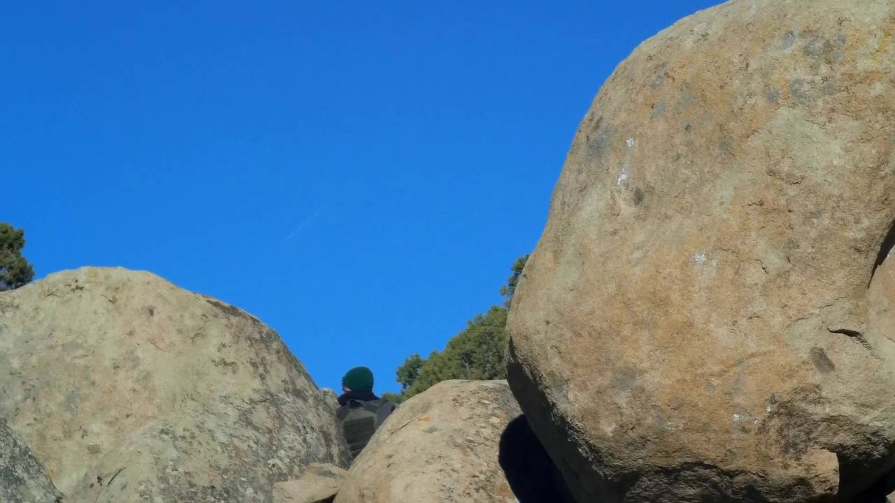 Juniper Jungle - YouTube