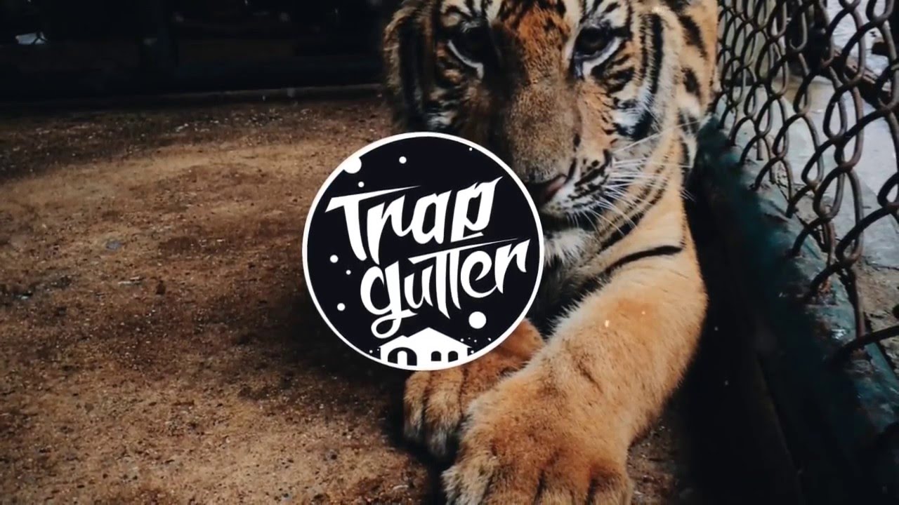 K Theory x Adara - Wild Things Ft Terry Mak - YouTube