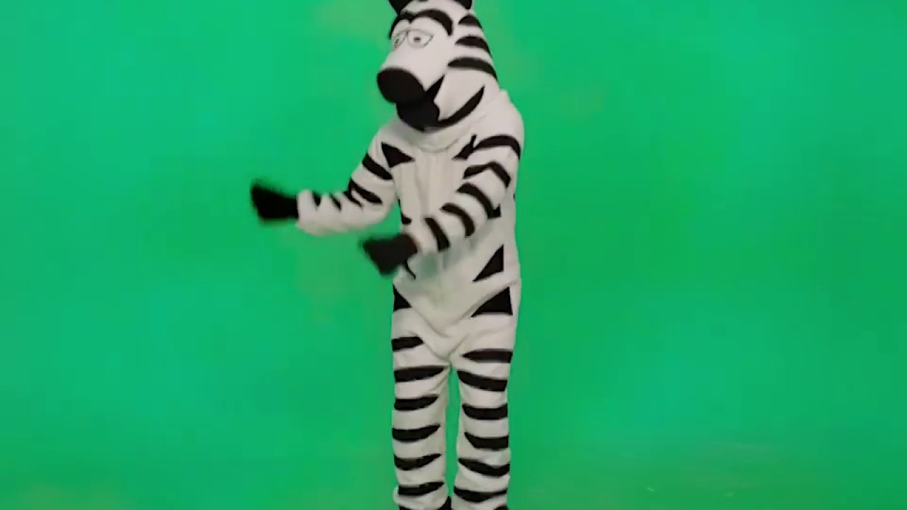 VFX Breakdown - Dancing Zebra - YouTube