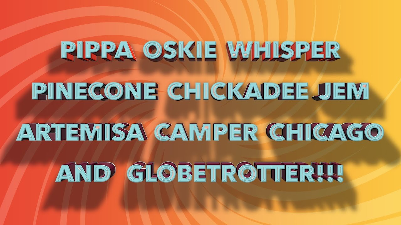 Pippa Oskie Whisper Pinecone Chickadee Camper Artemisa Jem Chicago ...