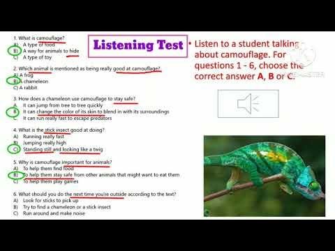English Listening Test for Grade 6 - YouTube