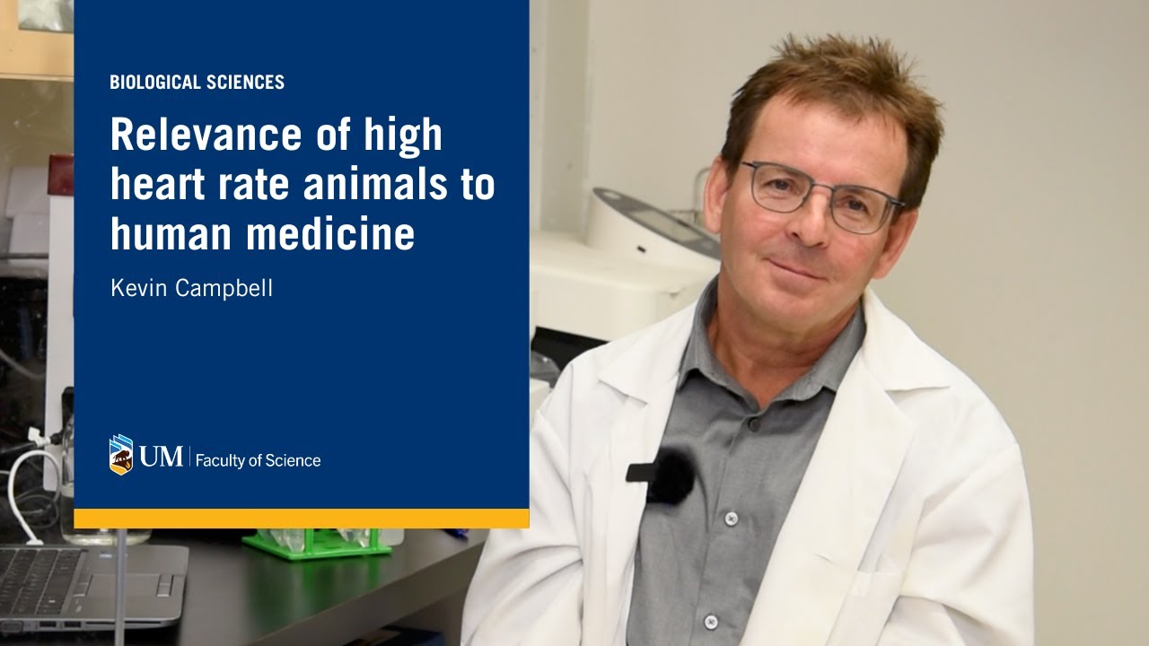 Relevance of high heart rate animals to human medicine - YouTube