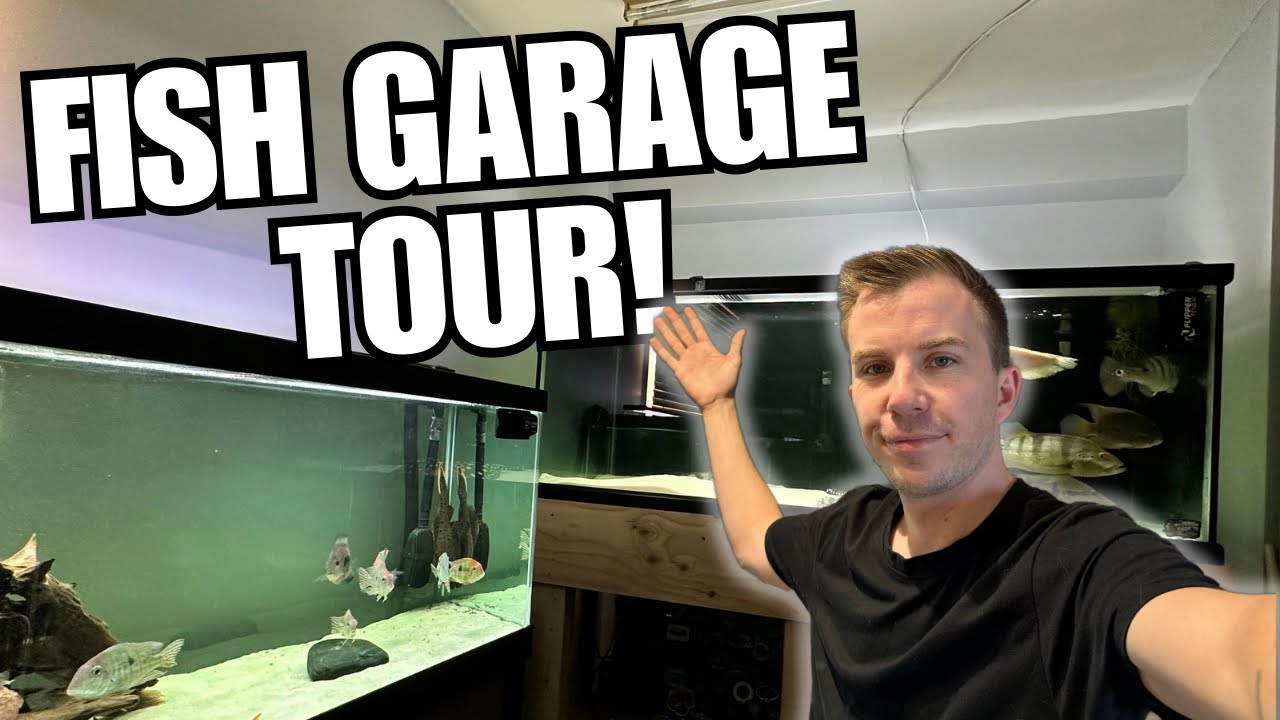 The ULTIMATE FISH GARAGE Reveal! - YouTube