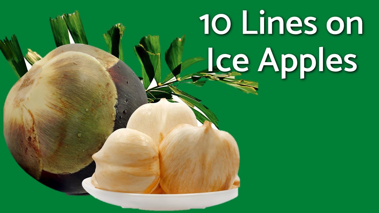 Ice Apples - 10 Lines on Ice Apples | TeachMeYT - YouTube