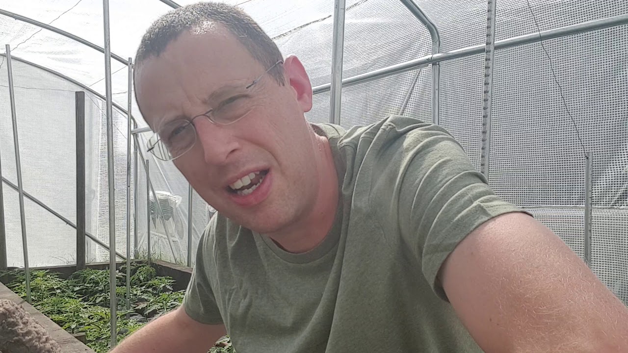 Year 9 Assembly 2 - YouTube