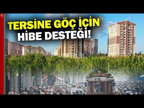 Köye dönenlere hibe desteği! Kırsal nüfustaki azalma alarm veriyor | A Haber