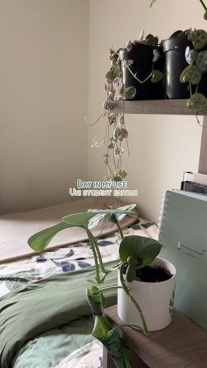 Day in my life as a uni student | aesthetic day in the life | Uni diaries - YouTube