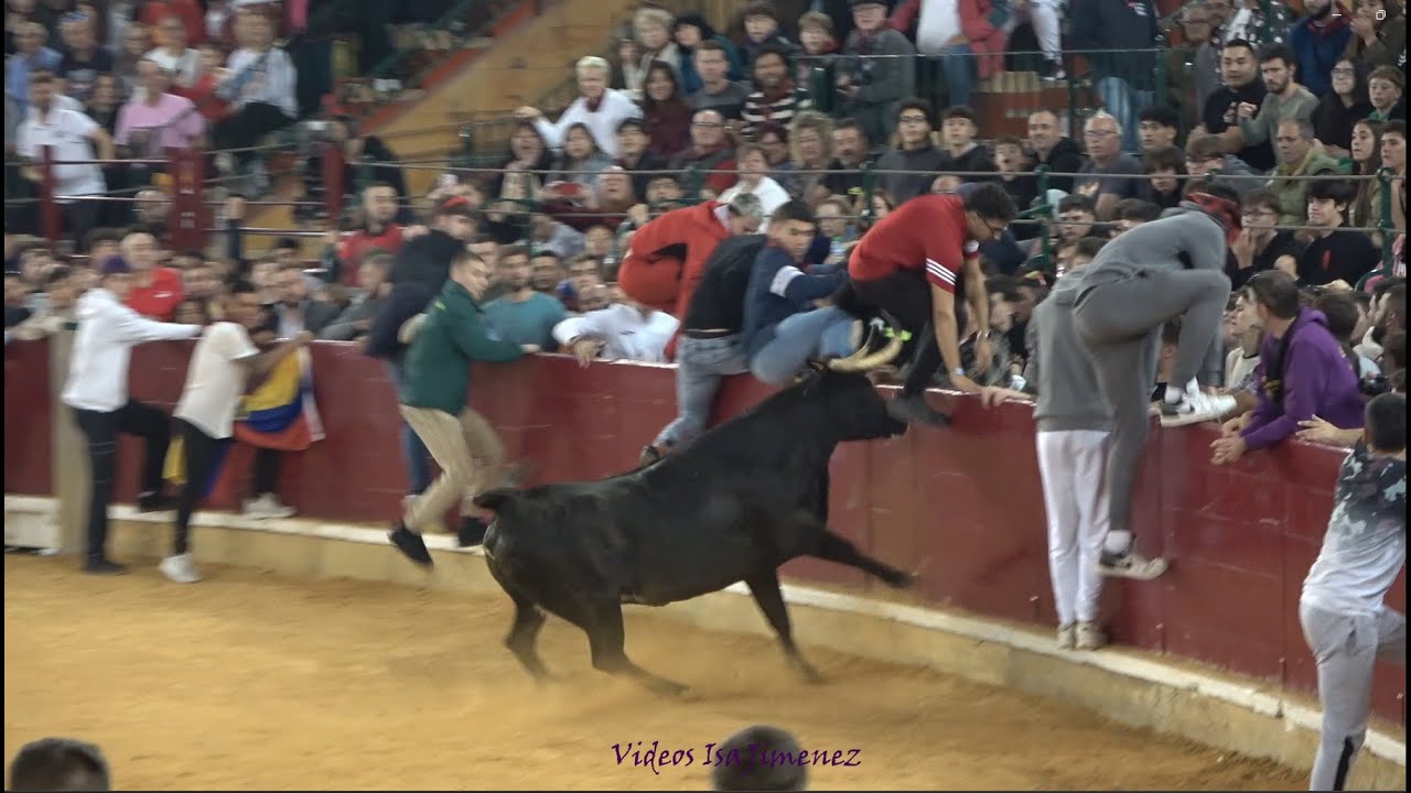 Zaragoza – Mañana vaquillera 12/10/2024 – Nº31/Pesetera – "Fernando ...