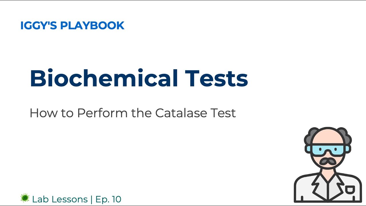 How to Perform the Catalase Test: Lab Lessons Ep 10 - YouTube