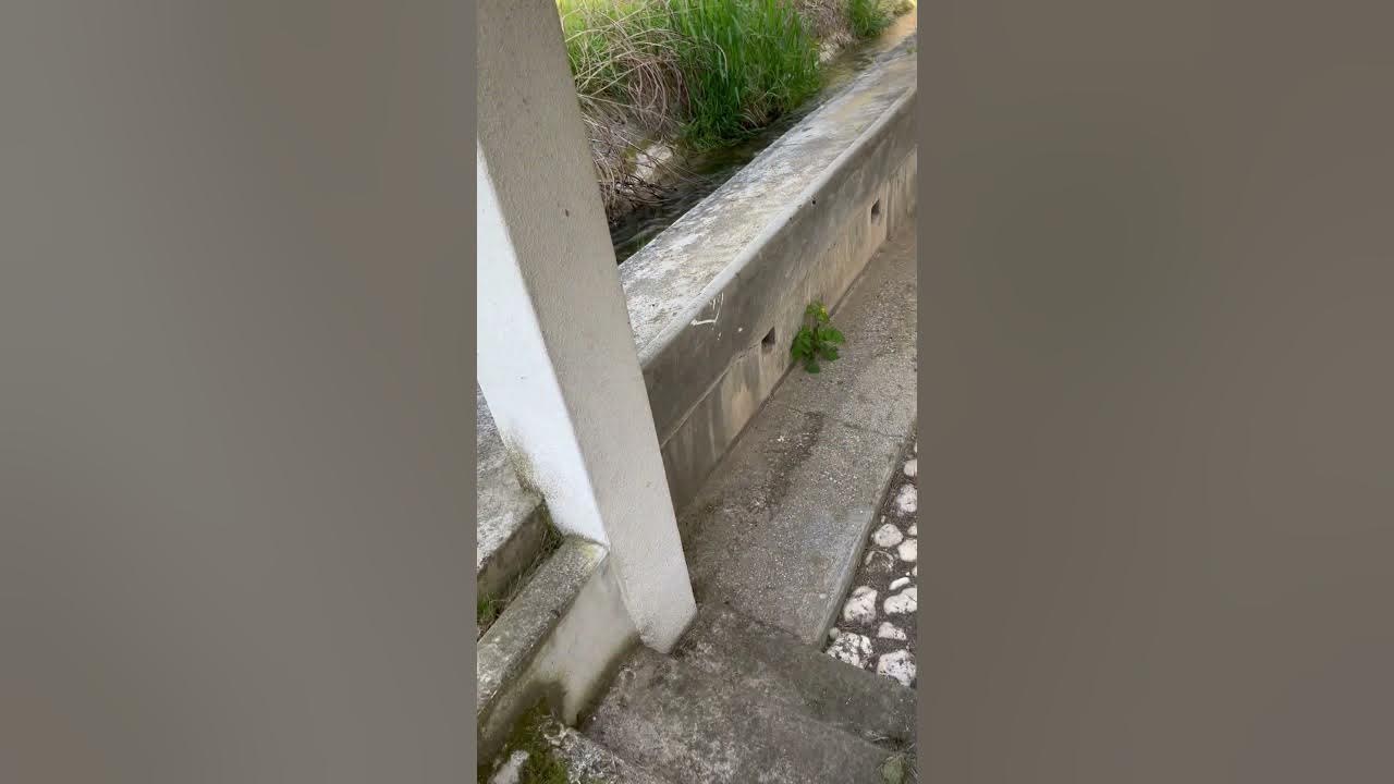 Lavatoio a Bressa di Campoformido I Lavatoi del Friuli Venezia Giulia ...