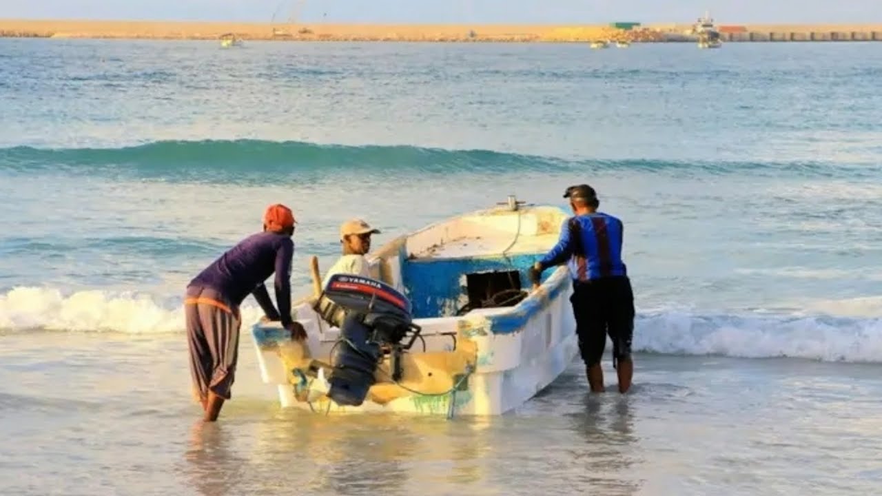 Dawladda Puntland oo mamnuucday Jilaabashada Noocyo ka mida Xayawaanada ...