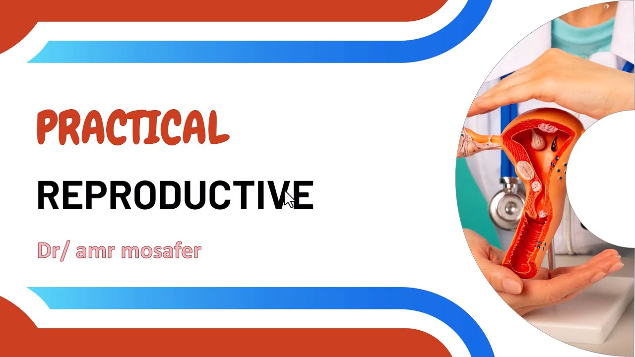 Practical reproductive - YouTube