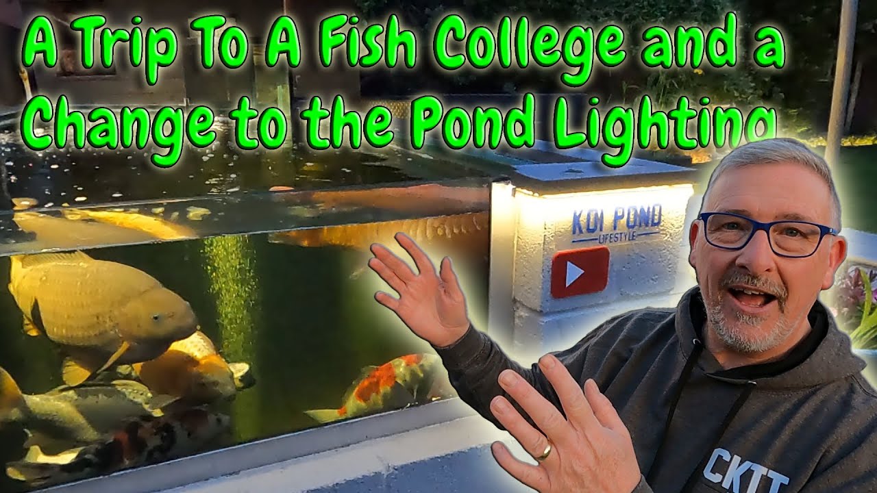 I Experience a REAL FISH COLLEGE and UPGRADE THE LIGHTING around my KOI ...
