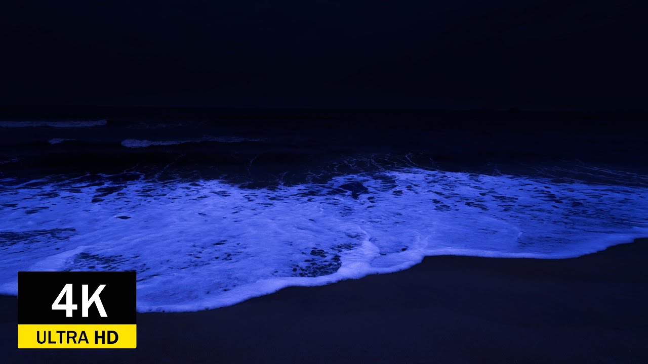 Ocean Sounds For Deep Sleep Soothing White Noise Of Night Waves ...