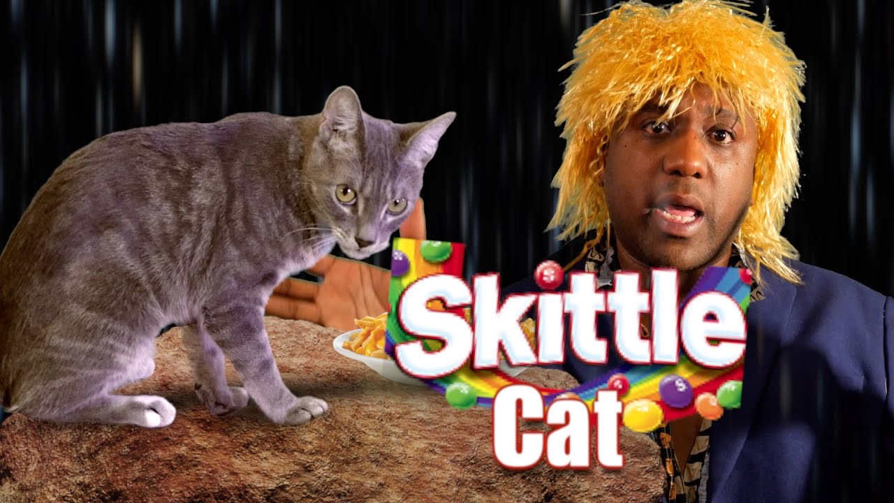 Skittle Cat - YouTube