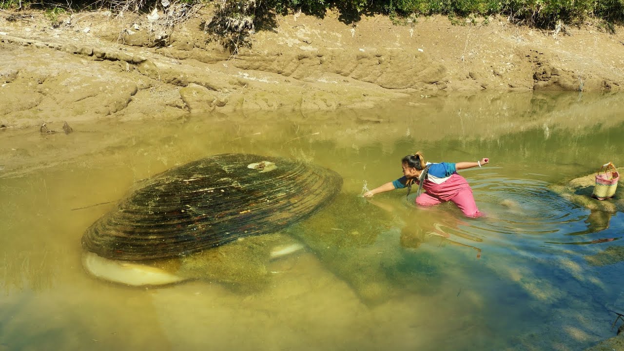 The girl attacked the clams foraging for food and seized a batch of ...