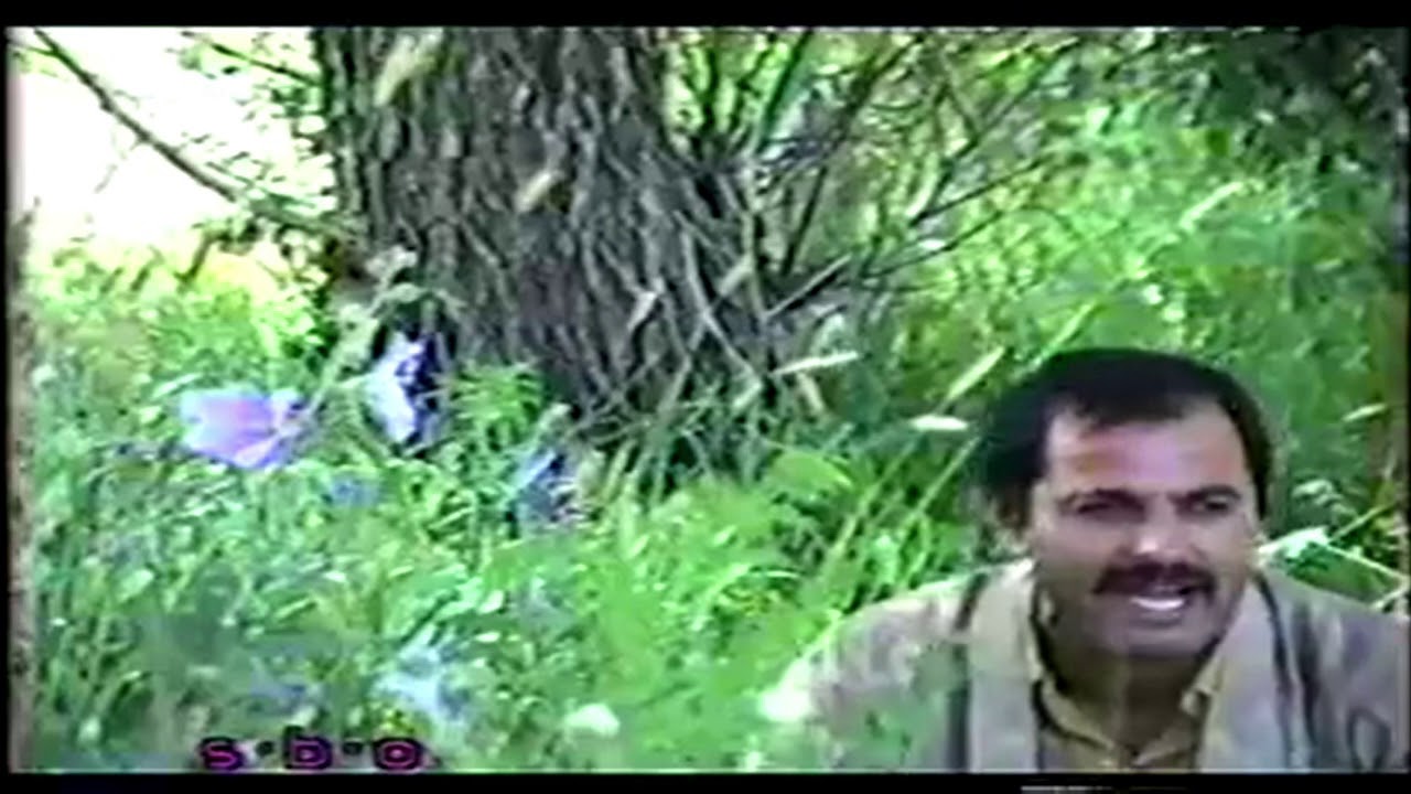 Hasan Darzi - gorania konakan - Bay bayan - YouTube