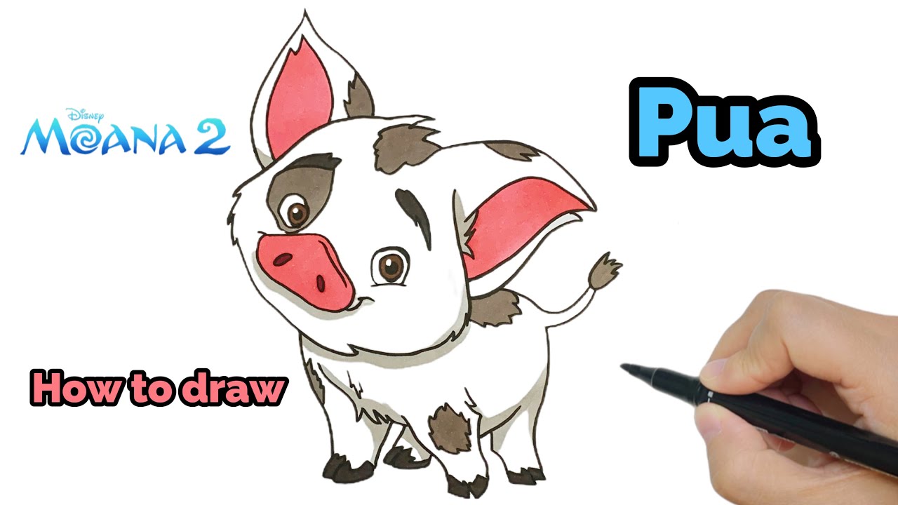 How to Draw Pua from Moana 2 Step by Step - YouTube