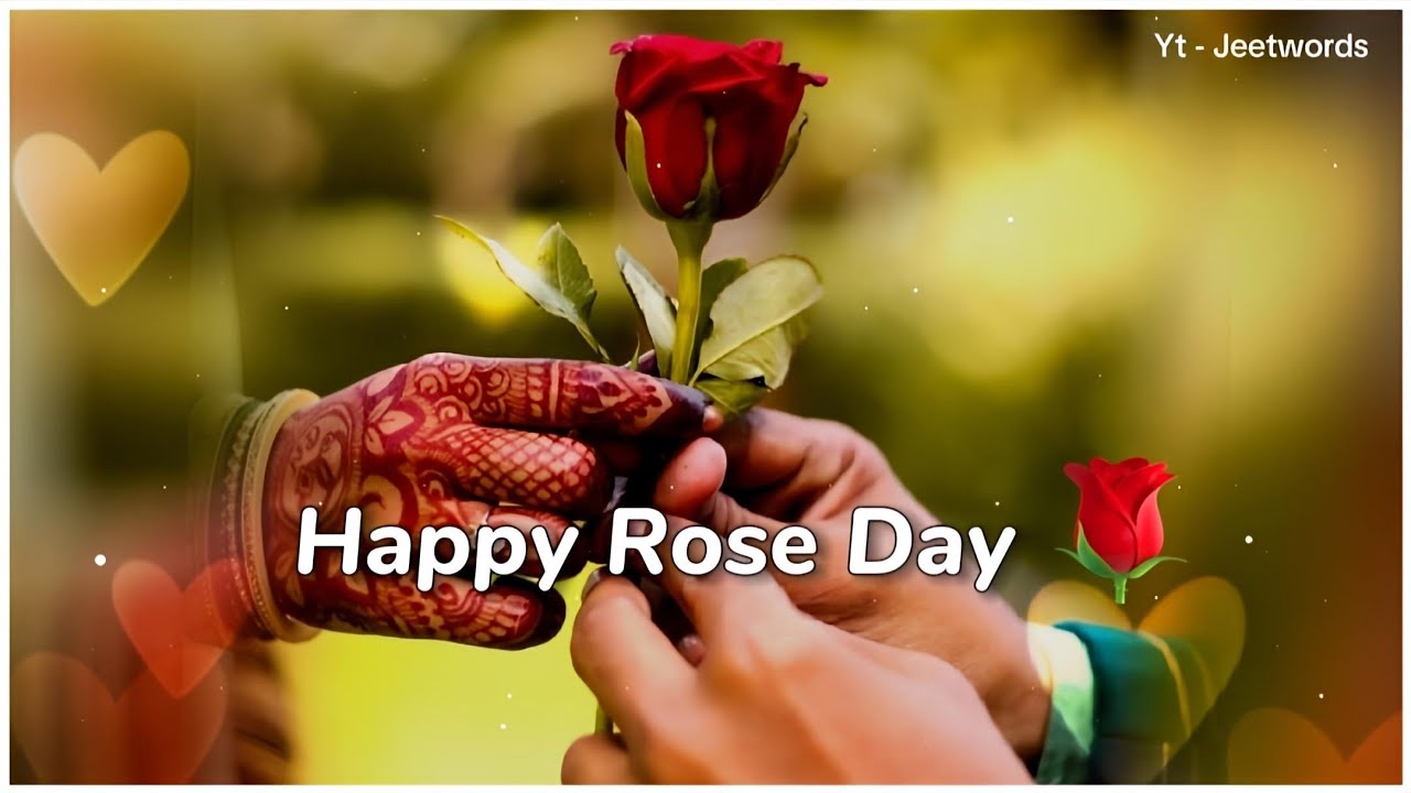Rose Day Status 2025🌹 Happy Rose Day Status 2025 | Rose Day Whatsapp ...