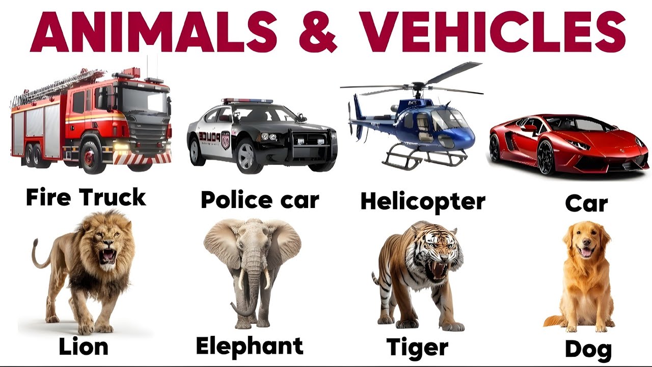 200+ Animals and Vehicles in English | Learn English Vocabulary with ...
