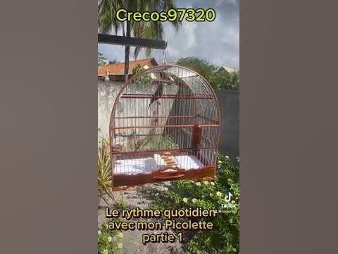 Le rituel de tous les jours avec mon picolette p1 - YouTube