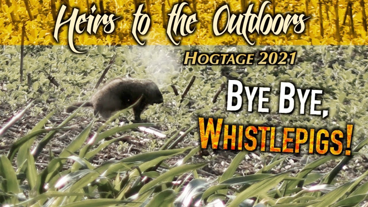 Groundhog Hunting Montage 2021 - YouTube